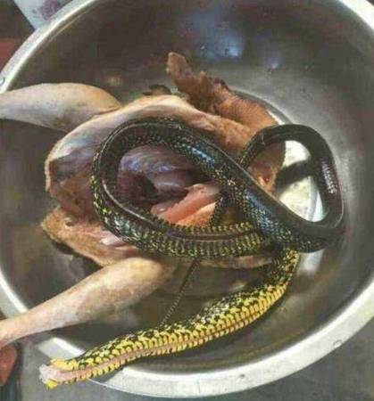 蛇肉为啥叫丧命肉图标