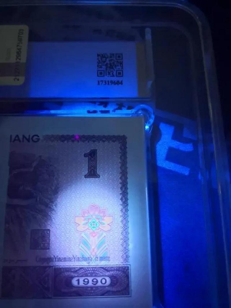 901QA是什么荧光图标