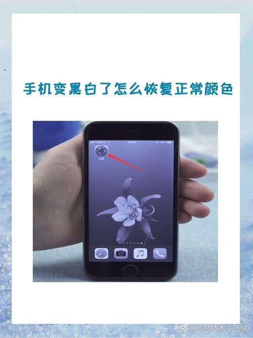 vivo手机显示屏变黑白怎么恢复图标