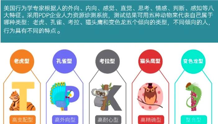 PDP测试详细解析图标