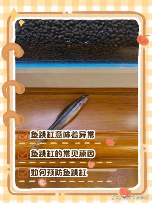 鱼跳缸预示着什么图标