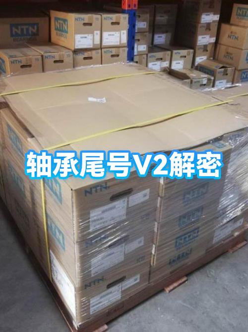 v2是什么意思啊截图