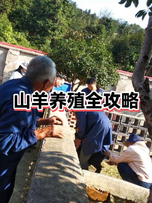 后山羊怎么得截图