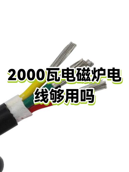 电磁炉2000瓦够用吗图标
