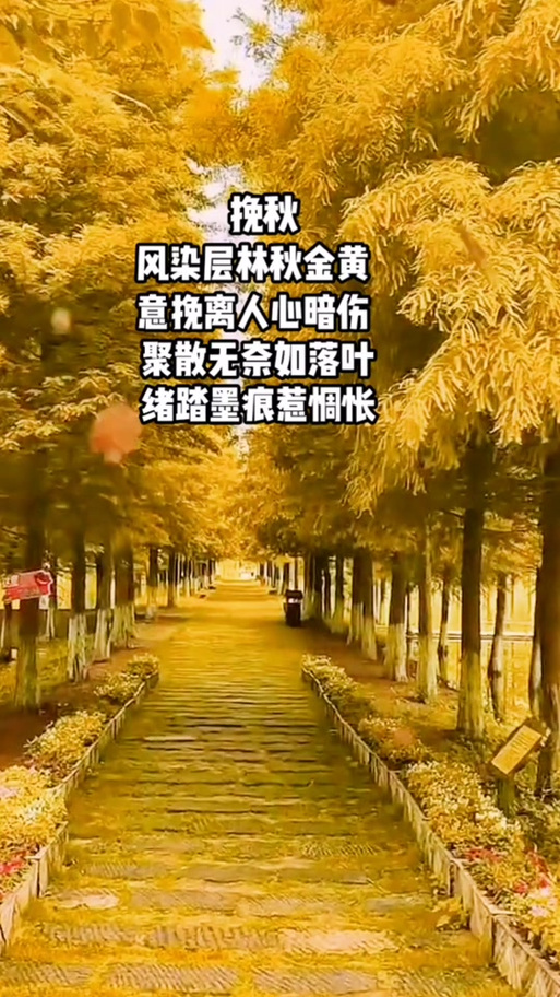 挽秋和谜图标