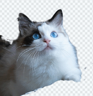 抠图图标