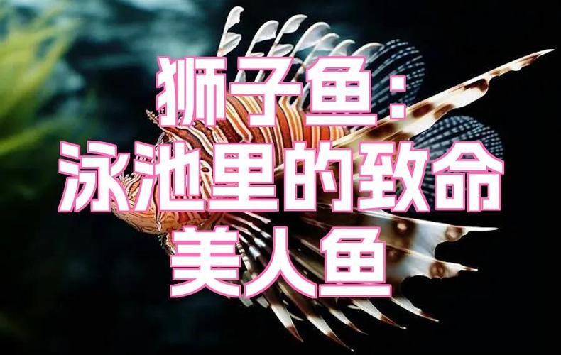 致命美人鱼观看完整版