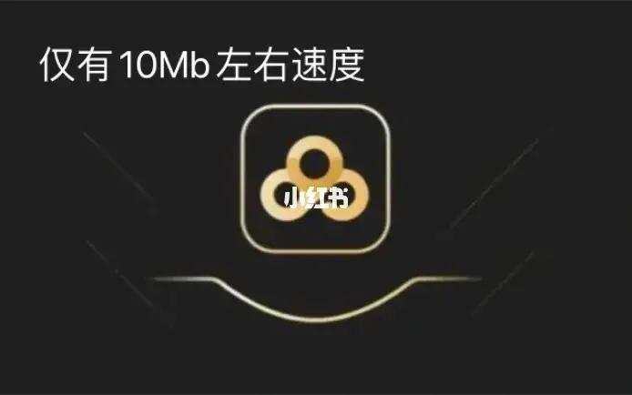迅雷的替代品图标