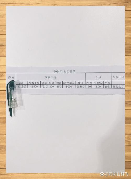 盈薪薪工资条官网图标