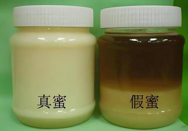 蜂蜜旅行是真的吗图标