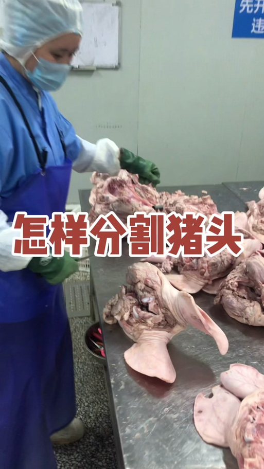 抖音上p那个猪头咋弄图标