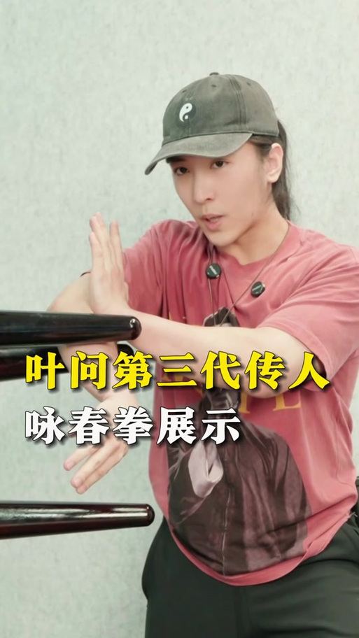 叶问咏春的后代人是谁图标