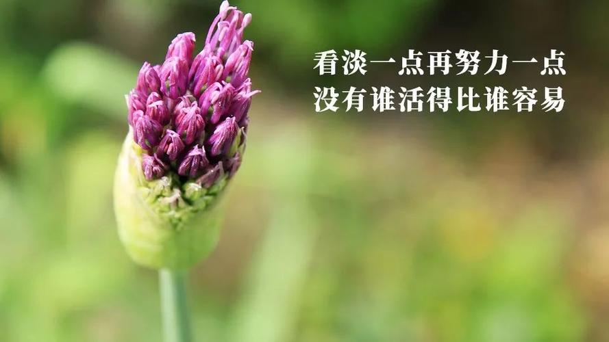soul不想聊天功能图标