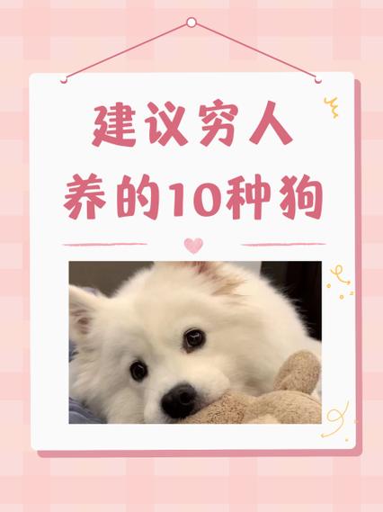 养宠物狗赚钱吗图标