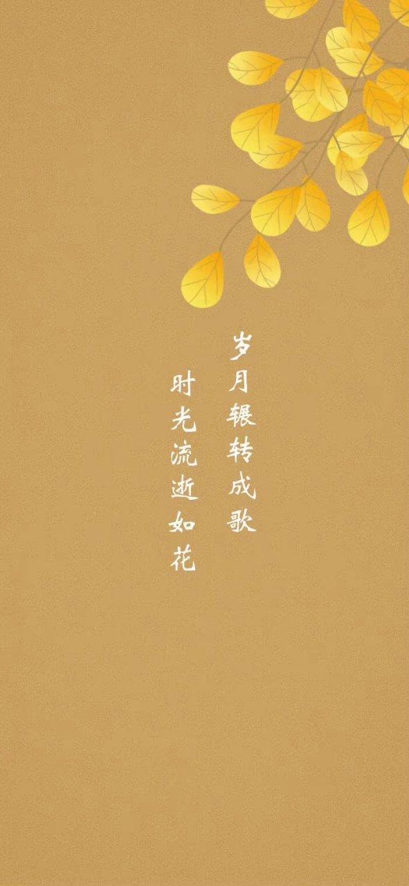 感慨岁月流逝的唯美诗句