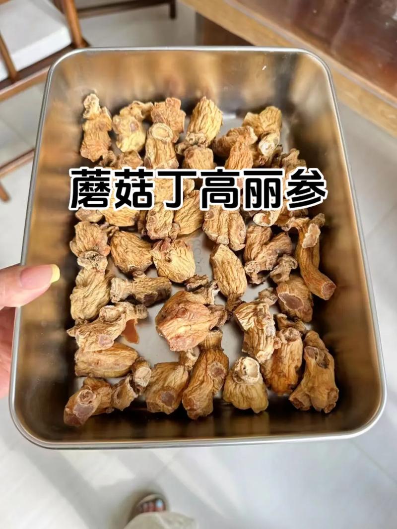 蘑菇丁可以补签吗图标
