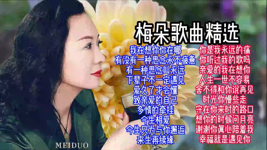 《梅朵》教唱视频截图