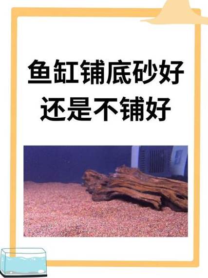 鱼缸放沙子好还是不放好图标