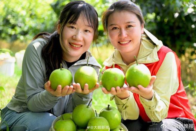 梨园比喻什么女人