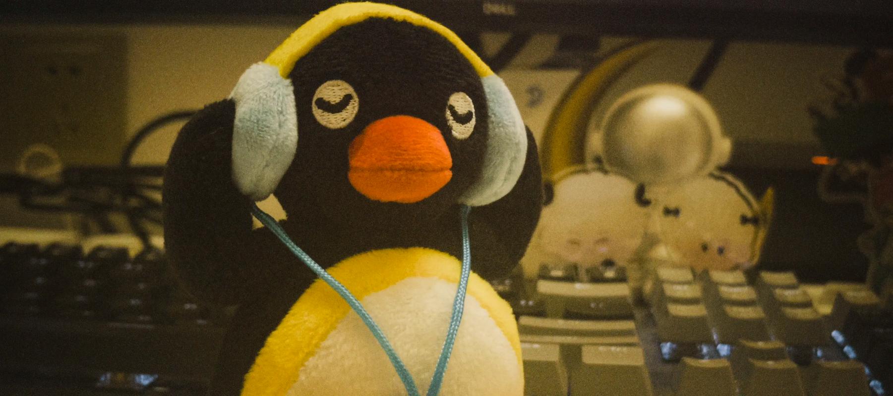 抖音wwbird广截图