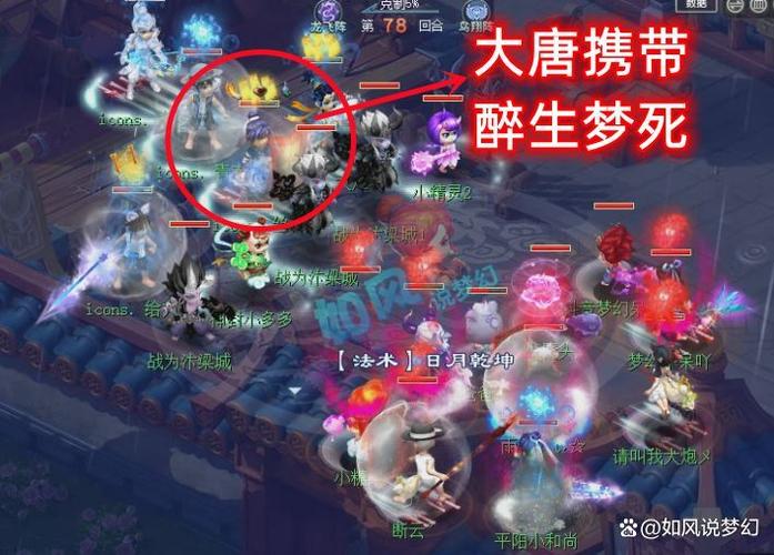 梦幻西游拍烟花拍哭了截图
