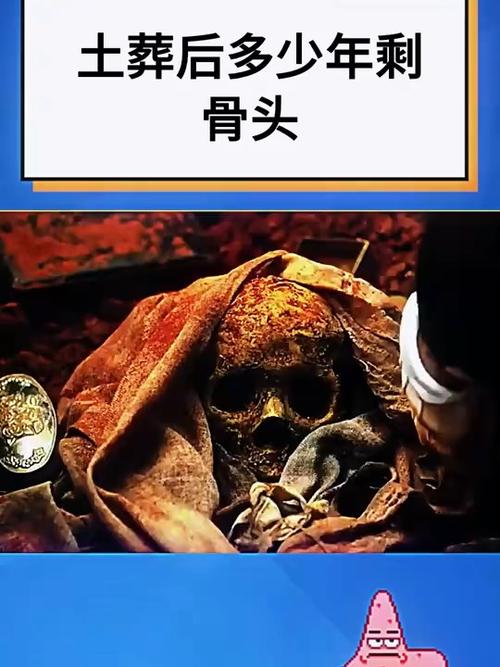 土葬60年后还有骨头吗图标