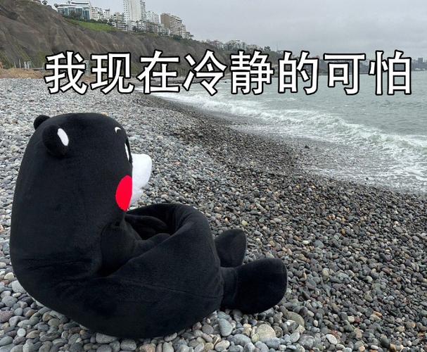 熊本熊表情包图标