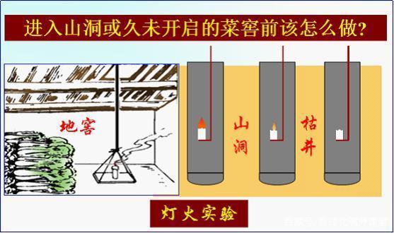地窖什么时候开启图标