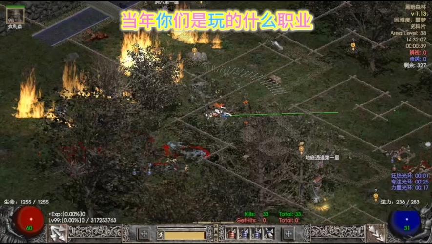 暗黑破坏神2单机下载图标