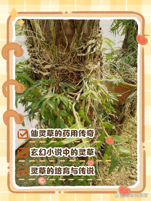 了不起的修仙模拟器灵仙草怎么获得图标