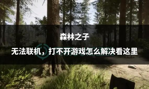 电脑不能联机游戏截图