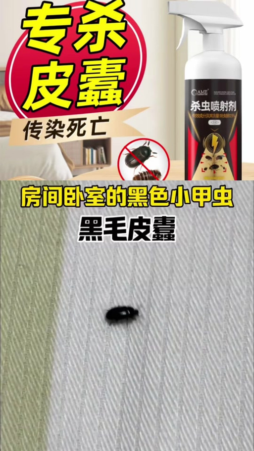 卧室常见虫子20种图标