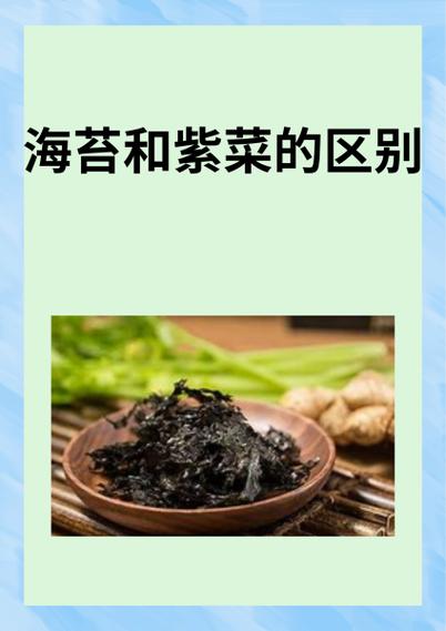紫菜和海苔的区别在哪截图