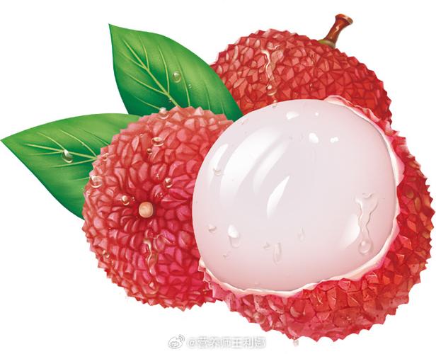荔枝卡通图片