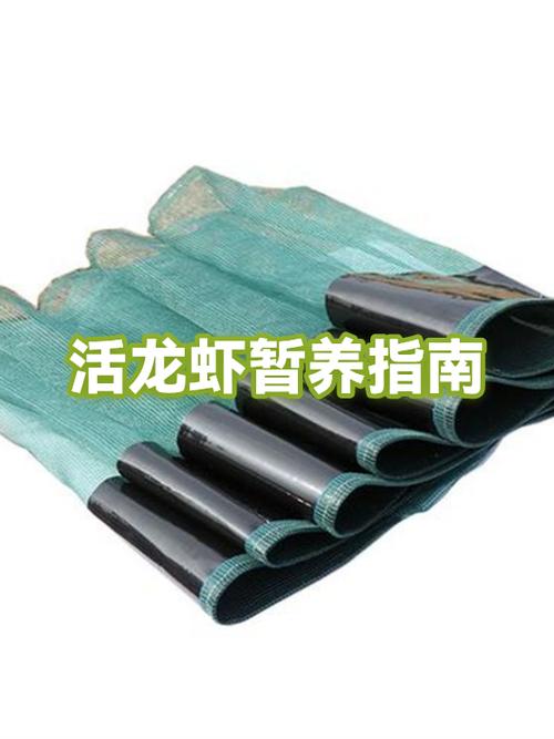 鲜活龙虾怎么存放缩略图