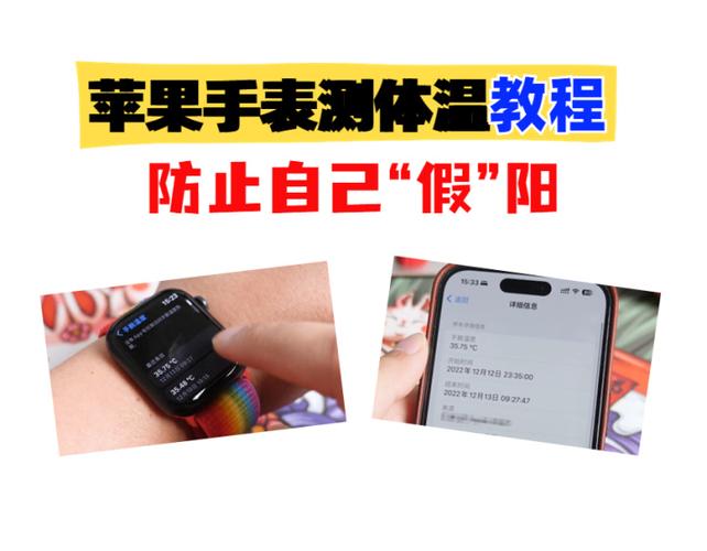 apple watch怎么测体温图标