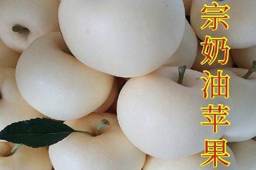 苹果白苹果怎么恢复图标