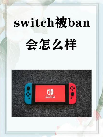 switch共享账号会ban吗图标