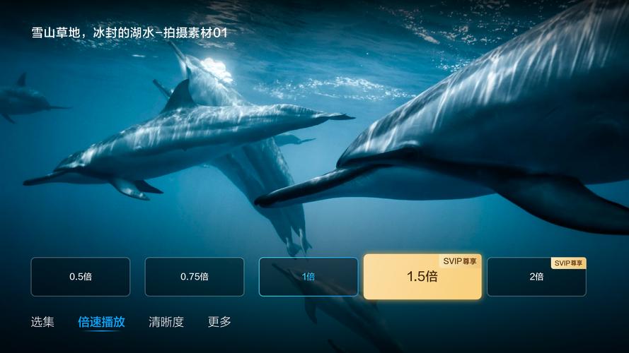 百度网盘可以压缩视频吗缩略图