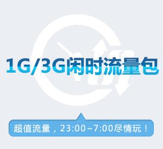 闲时流量什么时候图标