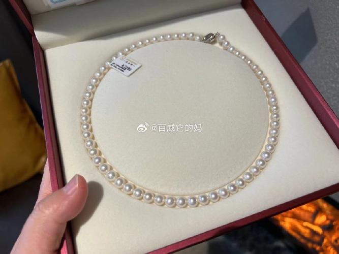 淡水珍珠价目表图标