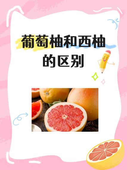 葡萄柚好吃还是红柚好吃缩略图