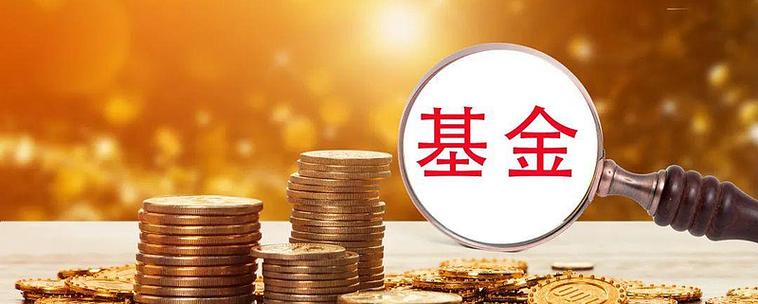 理财杂志官网图标