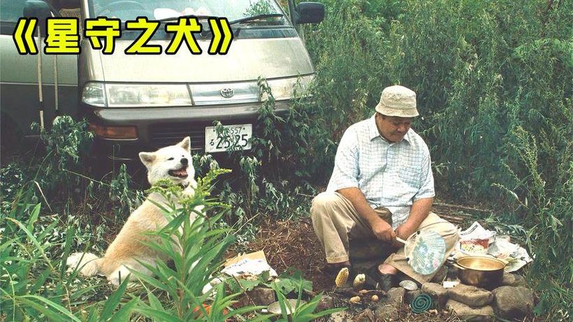 星守之犬电影截图