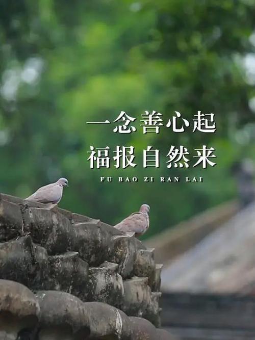 善良福报图片图标