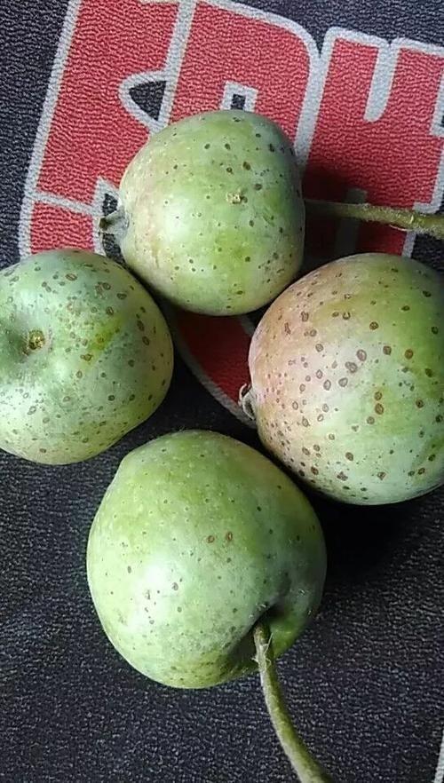 苹果摔成绿色条纹图标