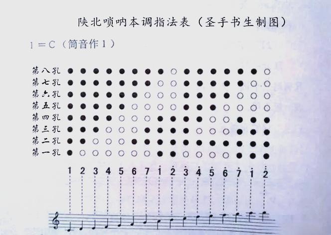唢呐教程大全图标