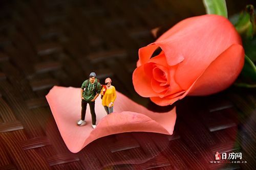 花瓣聊天图标