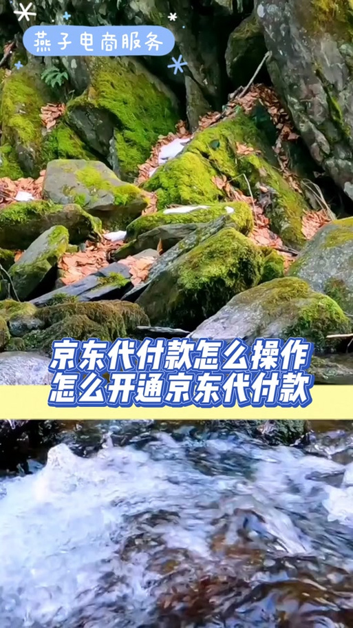 京东代付取消退回哪里图标