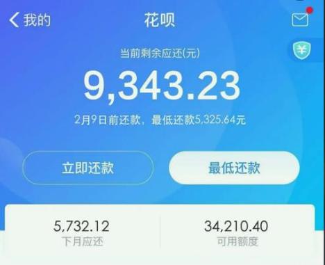 怎么才能彻底删除花呗截图